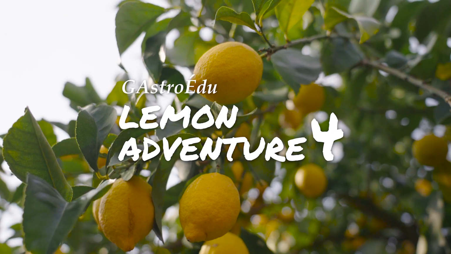【EDGE+R】GAstroEdu「Lemon Adventure 4〜瀬戸田レモンと尾道テロワール・まちづくり〜」 | 立命館起業・事業化 ...